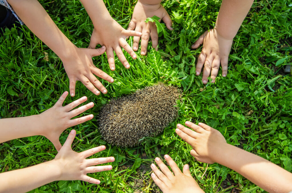 WildLifeFAQ - Let Us Answer Your Animal Questions