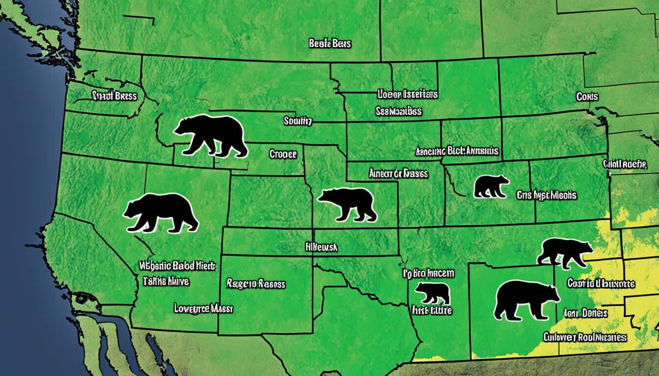 What is the range of the American black bear?